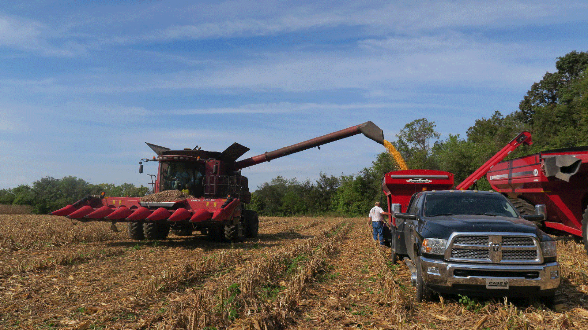 UT Variety Testing Program Provides $141 Million Impact | Agriculture ...